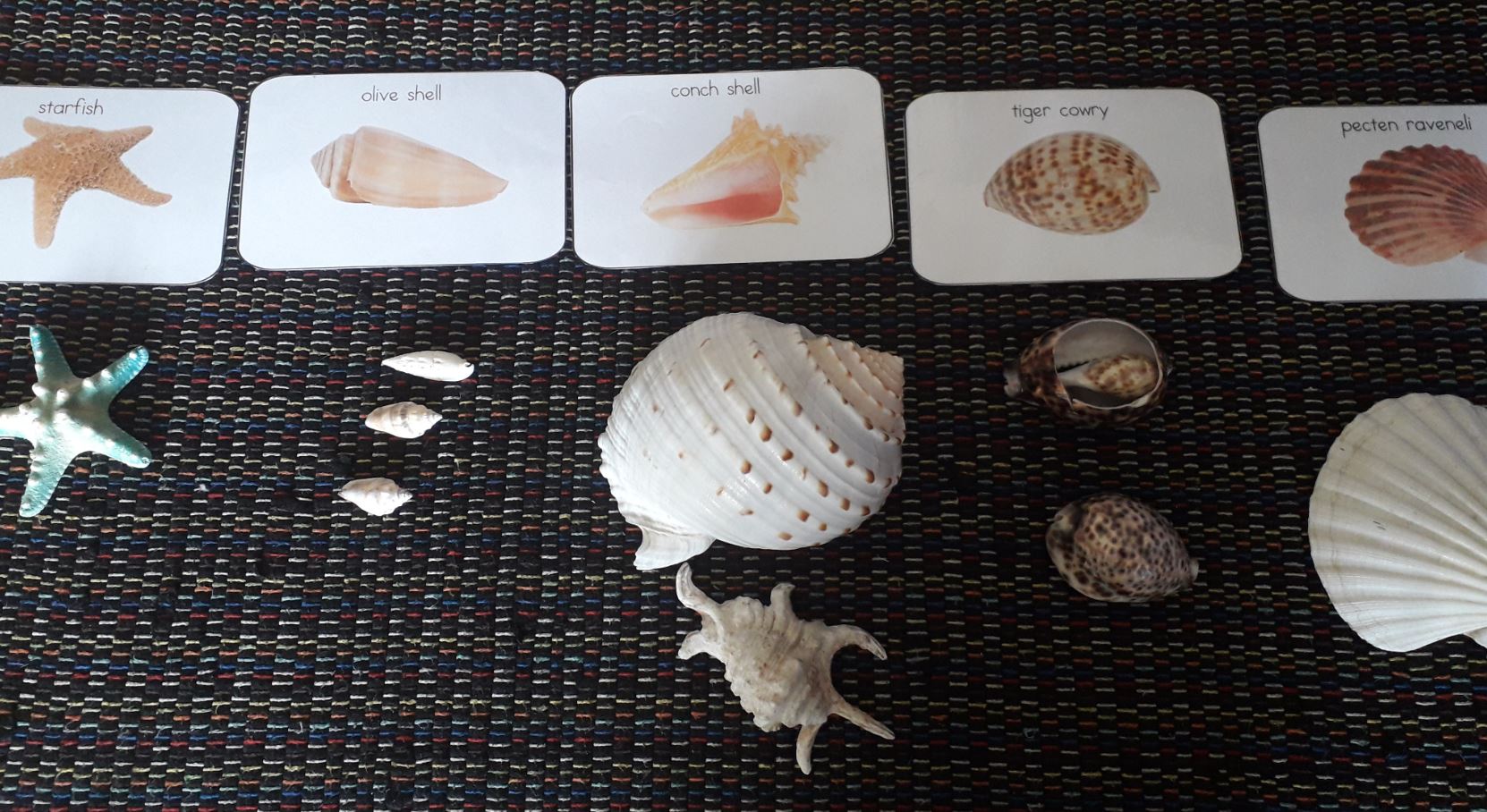 What is the Montessori approach? – Little Olive Tree Montessori ...